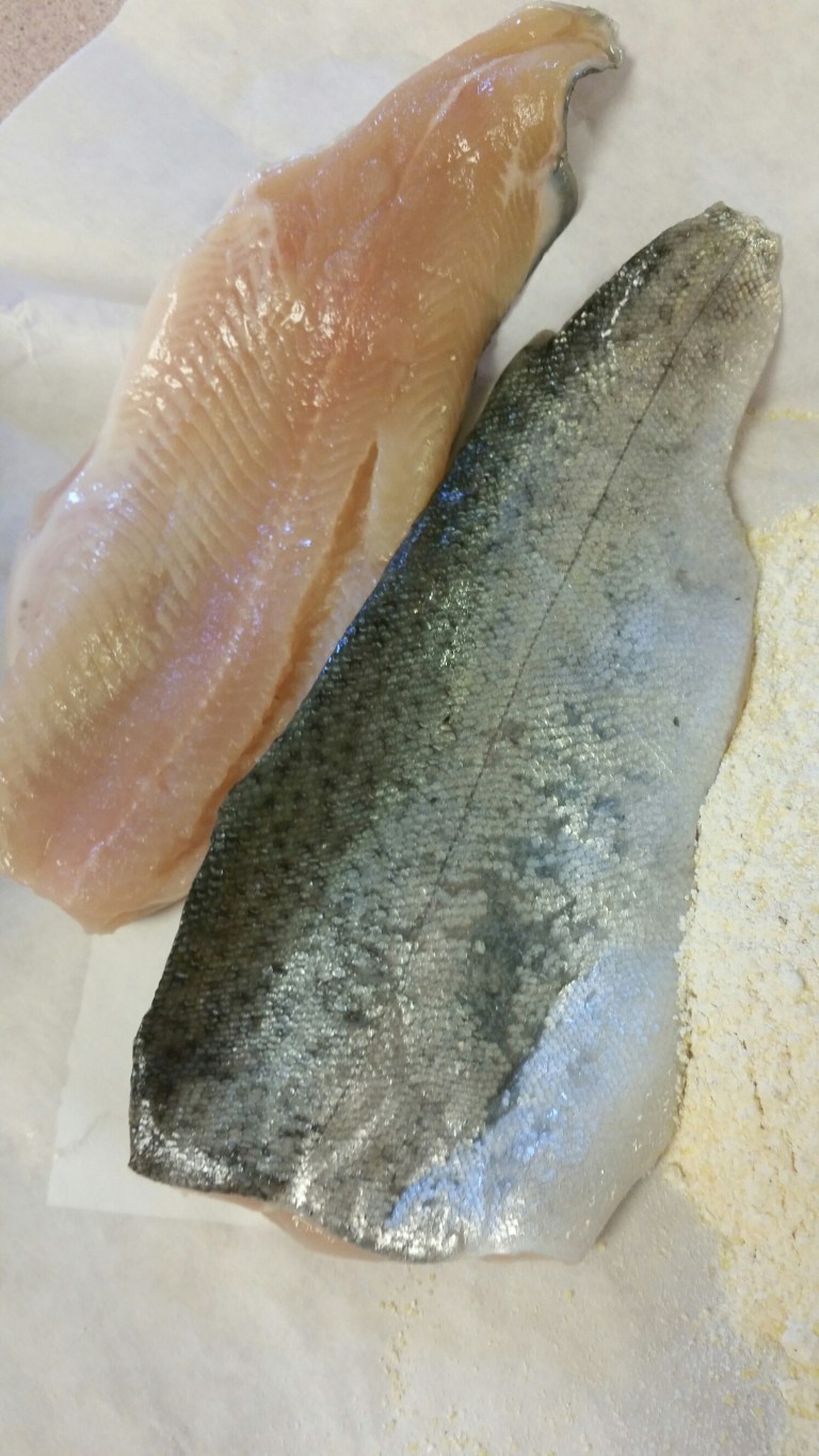 Corn Meal Crusted Pan Fried Trout – Fun Foodie Family