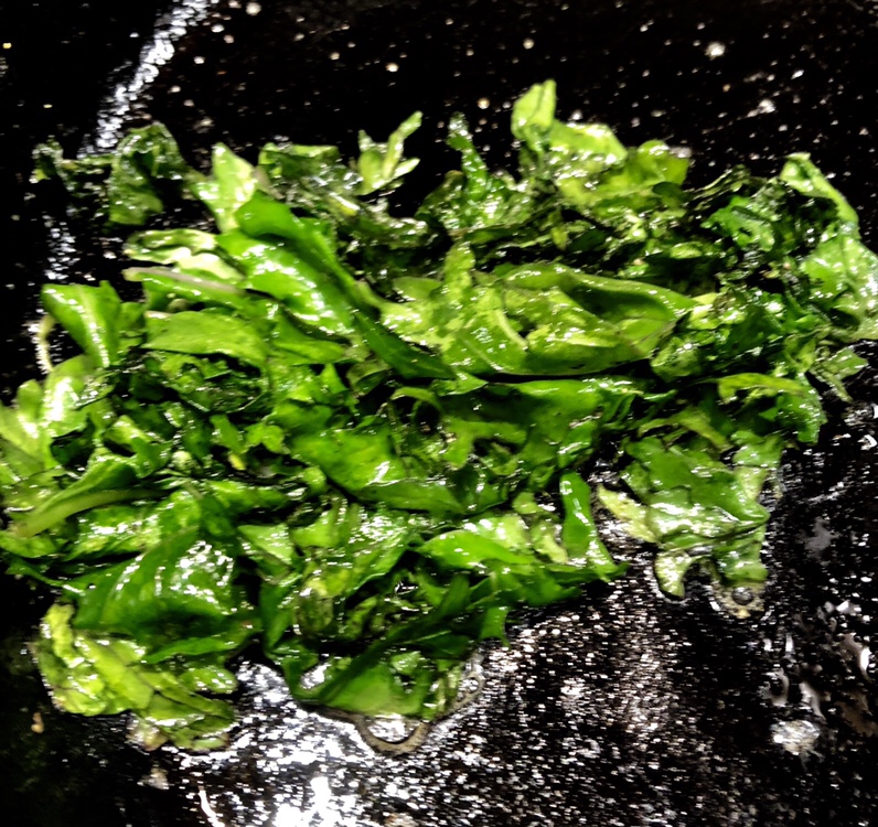 Kale and Mushroom Grilled Cheese – Fun Foodie Family